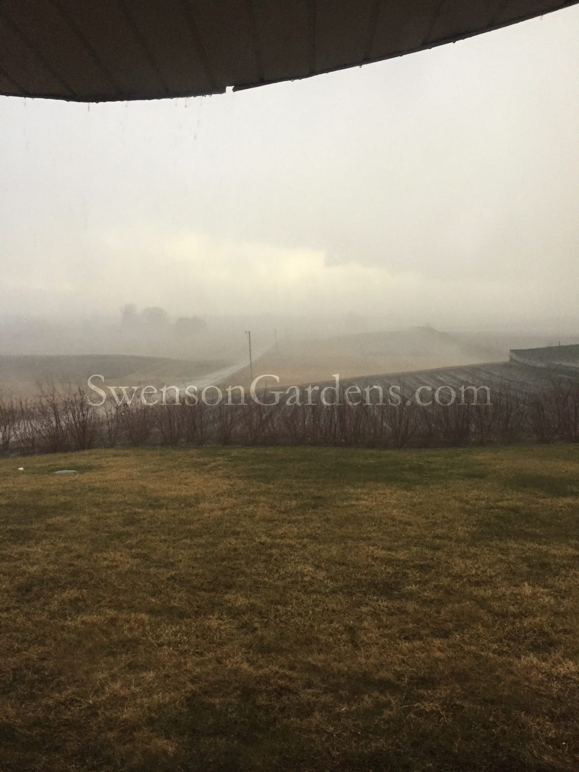 LIFE ON THE PEONY FARM | Swenson Gardens